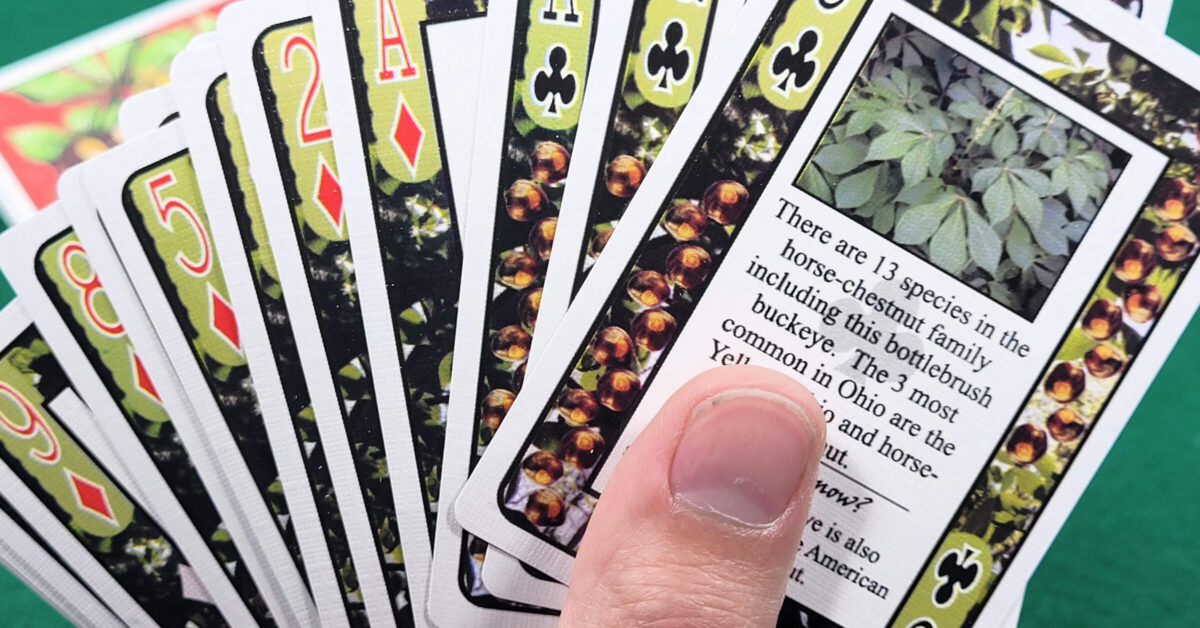 Buckeye Trivia Playing Cards – Collectible, Limited Edition deck ...